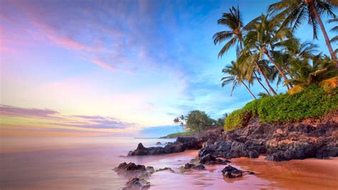 Desktop Wallpaper 4k Hawaii Hawaii Palm Poolenalena 4k Clouds Olenalena