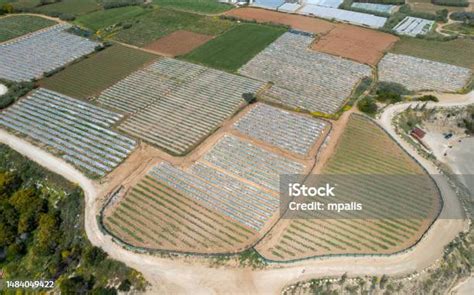 연속적으로 온실의 공중 무인 항공기보기 성장하는 야채와 과일의 투명 필름으로 덮여있다 식량 재배 농업 바이오 제품 0명에 대한 스톡 사진 및 기타 이미지 Istock