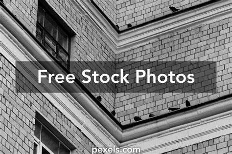 Msedgewebview2 Edge Reddit Photos Download The Best Free