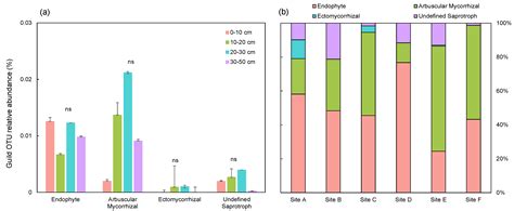 Vertical Patterns of Soil Bacterial and Fungal Communities along a Soil Depth Gradient in a ...