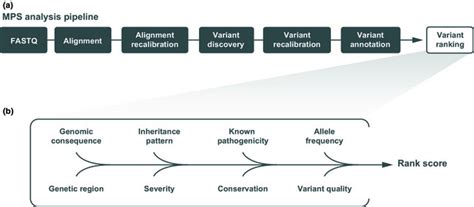 Summary Of Steps In The Sequence Data Analysis Workflow Of The Rapid Download Scientific