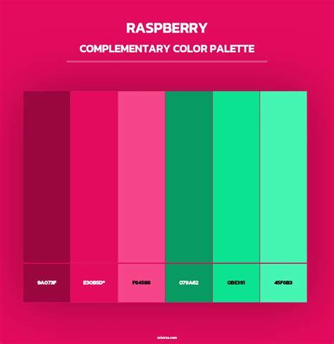 Raspberry Color Palettes