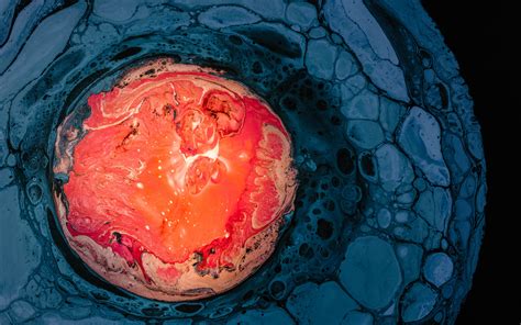 Entity Framework Core Supports Constructors With Arguments