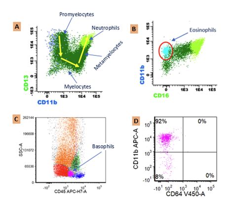 International Clinical Cytometry Society