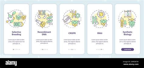 Genetic Modification Techniques Onboarding Mobile App Screen Stock Vector Image And Art Alamy