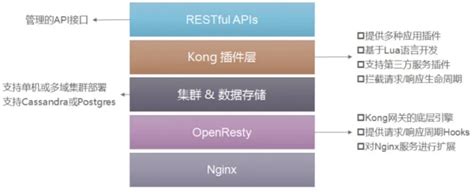 微服务网关选型和实践：zuul、spring Cloud Getway、kong和traefik用kong 和云elb有啥区别楼仔的博客 Csdn博客