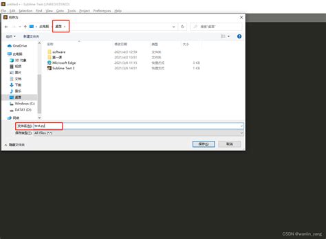 python下载安装和基本介绍 python CSDN博客