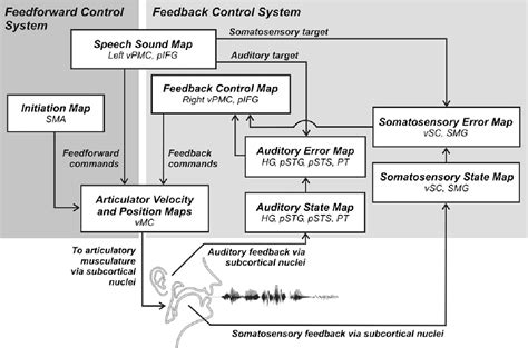 Figure 1 From A Neural Theory Of Speech Acquisition And Production Semantic Scholar