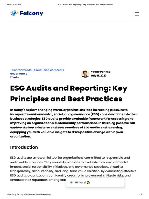 Esg Audits And Reporting Key Principles And Best Practices Pdf Audit Strategic Management