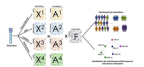 La Méthode Idéale Pour Intégrer Vos Données Multi Omiques Existe T Elle