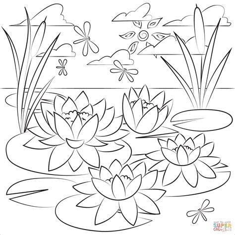 Lily Pad Coloring Page Free Printable Coloring Pages