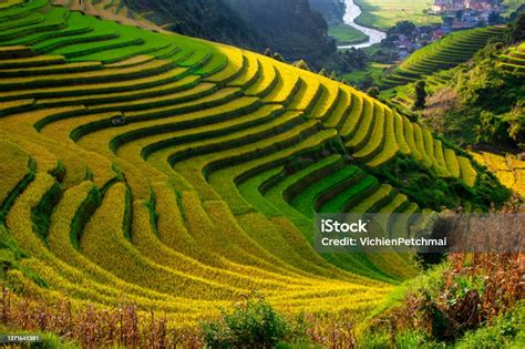 무칸차이 베트남 사파 인근 조경 계단식 논 0명에 대한 스톡 사진 및 기타 이미지 0명 2022년 Mù Cang Chải Istock
