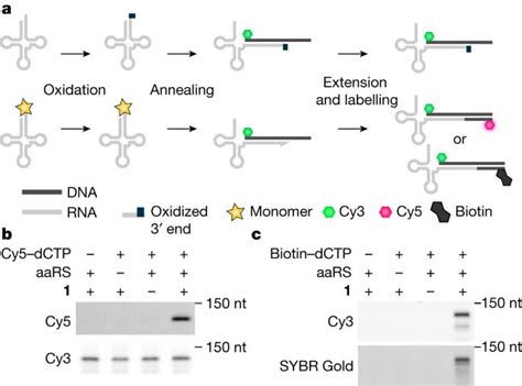 Daniel Dunkelmann On Linkedin Adding αα Disubstituted And β Linked