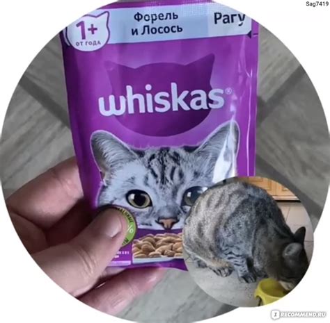 Корм для кошек Whiskas Вкус форель и лосось «Новое блюдо в меню отзывы
