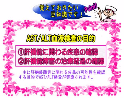 Astgot･altgpt 基準値･正常値のまとめ