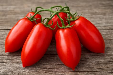 How To Grow San Marzano Tomatoes A Complete Guide Tomato Craze