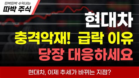 현대차 충격악재 급락이유는 현대차 현대차주가전망 현대차전망 현대차주식 Youtube