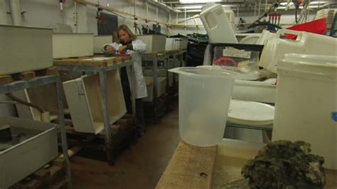 Seaweed Sampling — Science Learning Hub