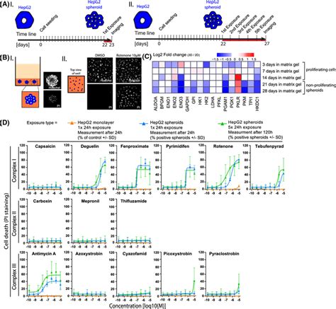 Comparison Of Compound Induced Toxicity In 2d Cultured Hepg2 And 3d