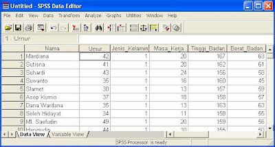 AlbaruBlog S Input Data Spss