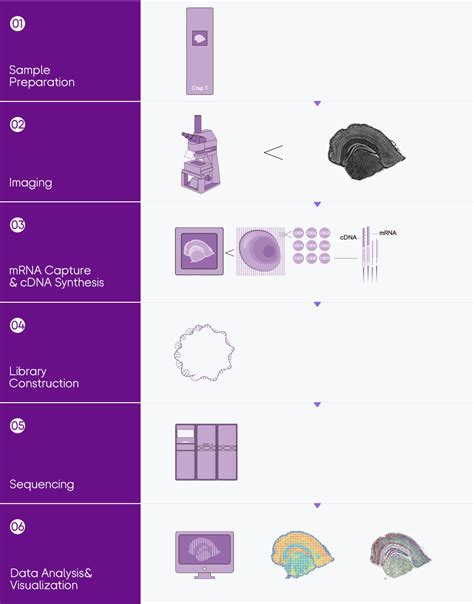 Transcriptomics Solution Stomics
