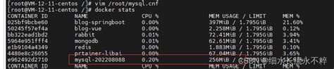 docker中mysql 占用内存大，减少内存消耗 docker中运行mysql和直接运行mysql的内存占用比较 csdn博客