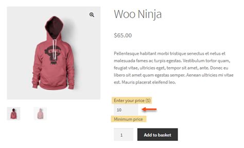 Best Free WooCommerce Name Your Price Plugins In LearnWoo