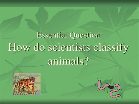 Ppt Classifying Plants And Animals Powerpoint Presentation Free