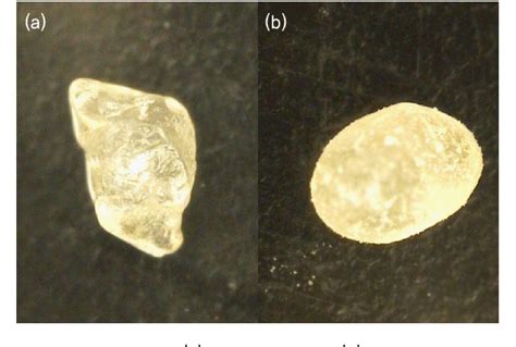 Figure 1 From Soil Particle Shape Analysis Using Fourier Descriptor