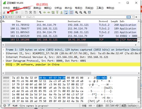 wireshark零基础使用教程（超详细） csdn博客