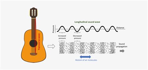 The Science Of Sound How Guitars Produce Music