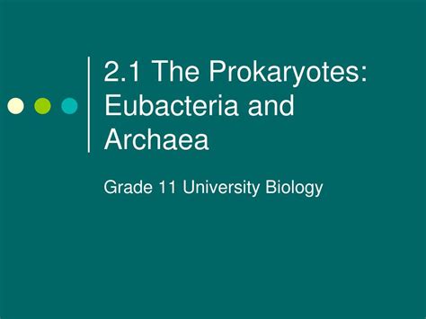 Ppt 2 1 The Prokaryotes Eubacteria And Archaea Powerpoint Presentation Id 292112