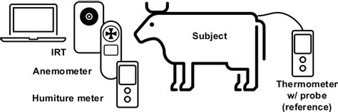 Figure 1 From Non Invasive Cattle Body Temperature Measurement Using Infrared Thermography And