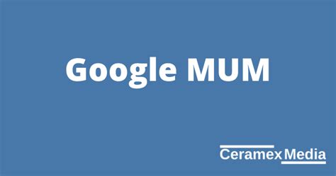 Was Ist Das Multitask Unified Model Mum