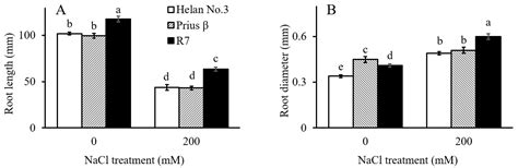 pectin characteristics affect root growth in spinach under salinity