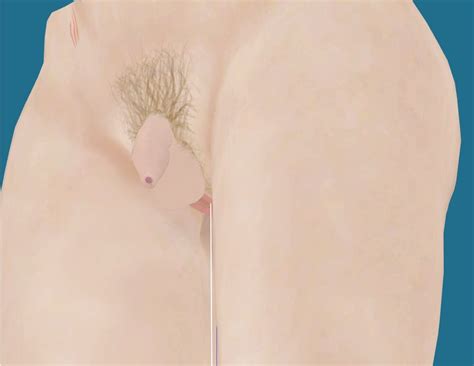 Nifskope Question Oblivion General Discussion Loverslab