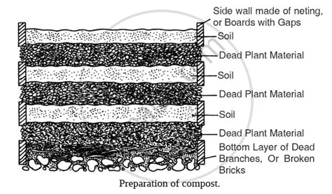 Explain the Mechanism of Compost Formation. - Science | Shaalaa.com