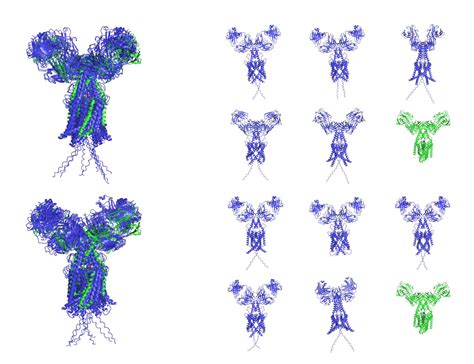 Alphafold2 Alphafold Multimer Alphafold3