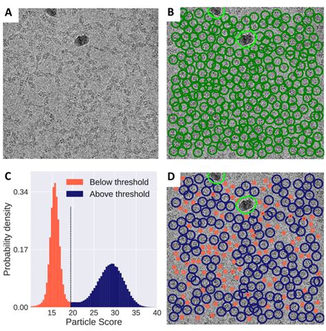 Unsupervised Strategy For Particle Picking And Sorting A