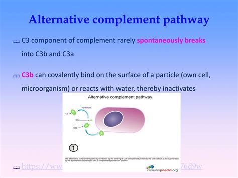 Ppt Complement Powerpoint Presentation Free Download Id9384604