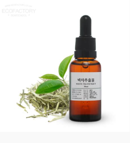 The Benefits Of White Tea Extract Just Tea