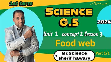 Food Web Science Grade 5 Unit 1 Concept 2 Lesson 3 Part 11