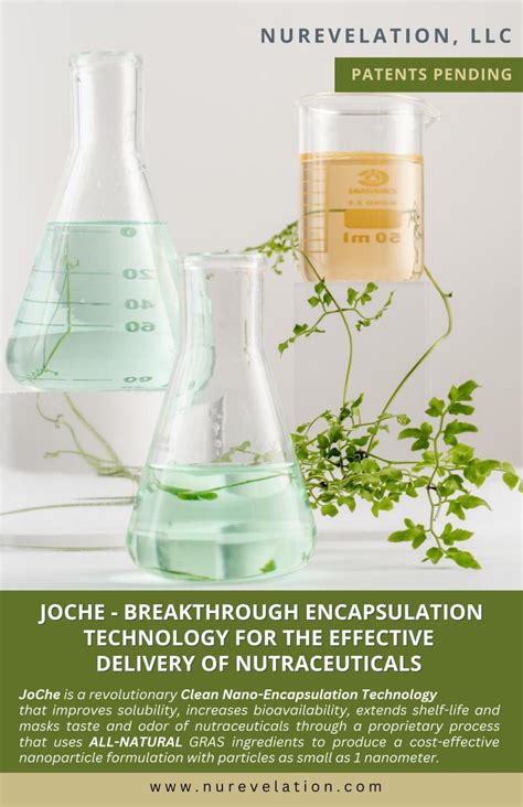 T Naomie Lucas On Linkedin Joche Breakthrough Encapsulation