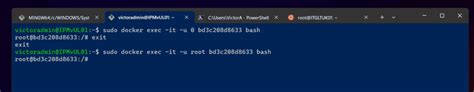 Docker Exec It Command Explained With Examples Cloudspress