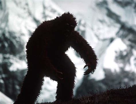 Beware Of The Yeti And Spurious Science Too New Scientist
