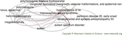 Macrocephaly Autism Syndrome Disease Malacards Research Articles