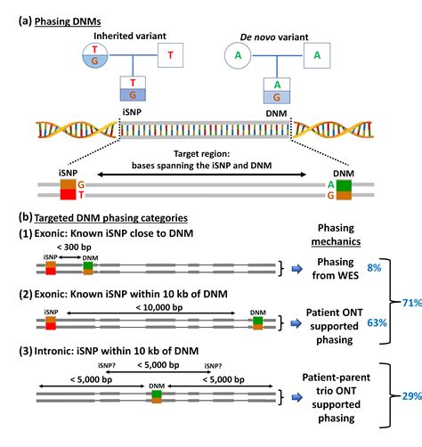 Sequencing Phasing At Jill Farris Blog