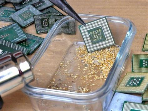 How Much Gold Is In A Computer Processor Techosaurus Rex