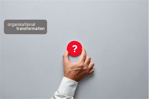 Organisational Transformation — People Planet Guide