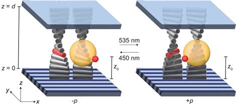 Dynamic Control Of Active Droplets Using Light Research Communities By Springer Nature